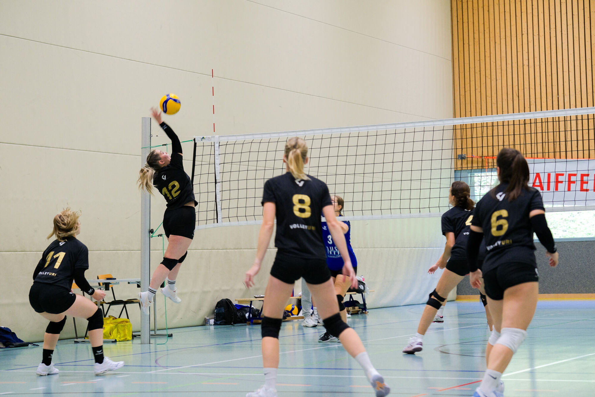 Home | Volley Uri