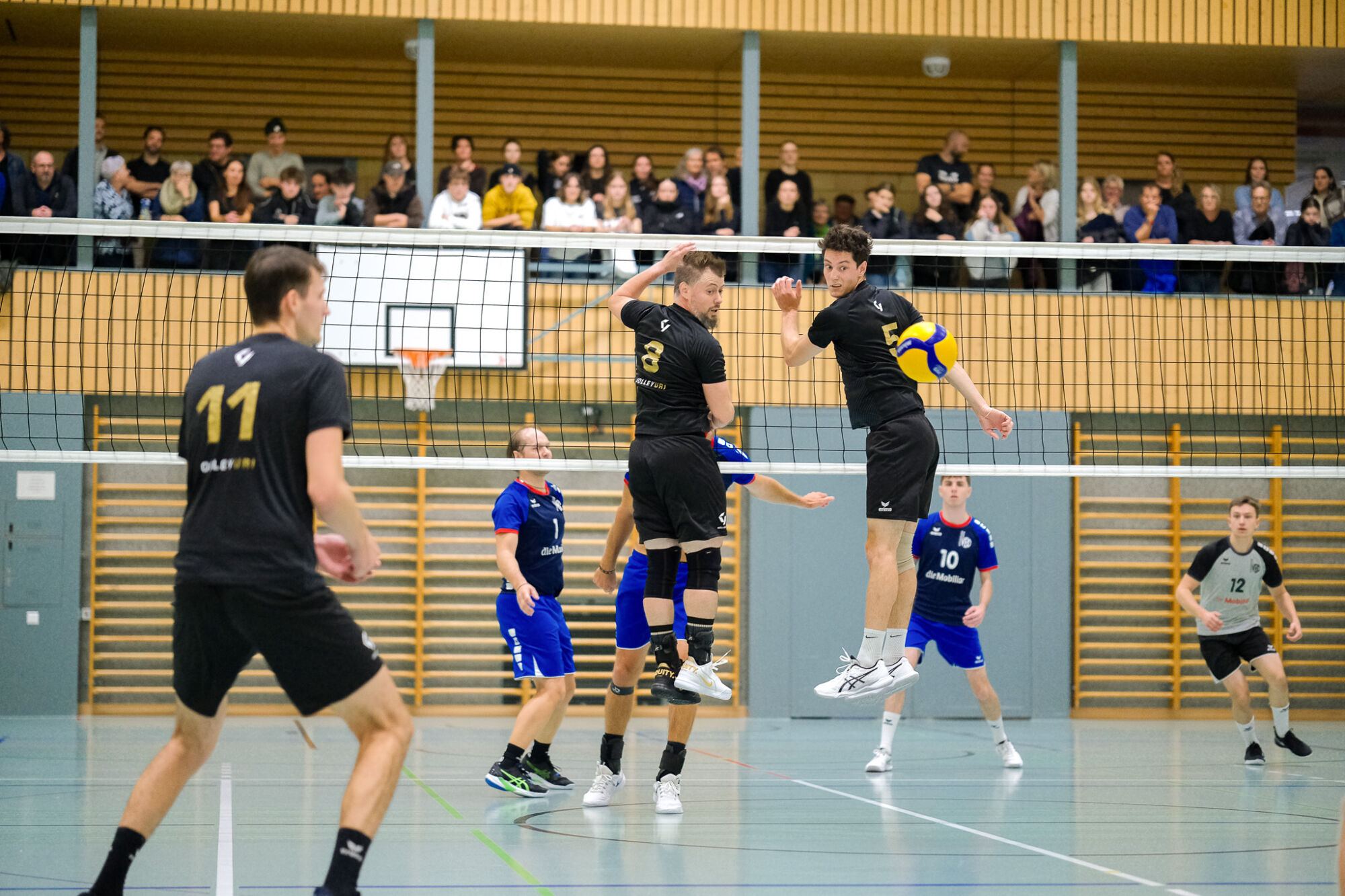 Home | Volley Uri